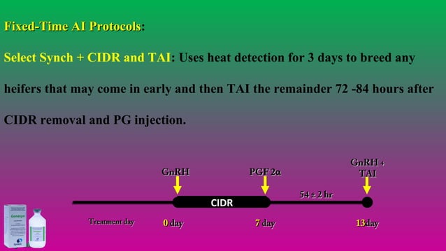 Presentation: Protocols for Synchronization of Estrus | PPT | Reproductive Health | Diseases and ...