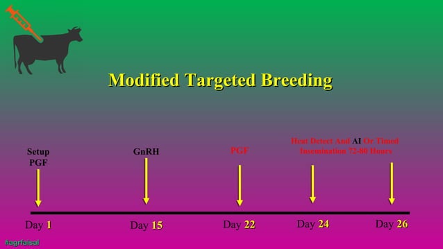 Presentation Protocols For Synchronization Of Estrus Ppt Reproductive Health Diseases And