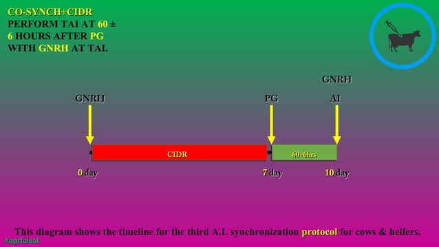 Presentation Protocols For Synchronization Of Estrus Ppt Reproductive Health Diseases And