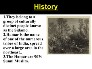3.hamar tribes ppt | PPT