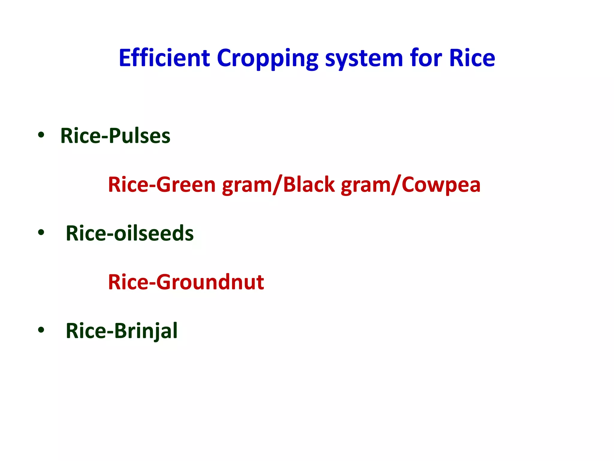 EFFICIENT RICE BASED CROPPING SYSTEM | PPTX