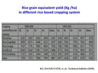 EFFICIENT RICE BASED CROPPING SYSTEM | PPTX