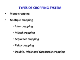 EFFICIENT RICE BASED CROPPING SYSTEM | PPTX