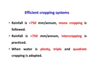 EFFICIENT RICE BASED CROPPING SYSTEM | PPTX