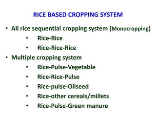 EFFICIENT RICE BASED CROPPING SYSTEM | PPTX