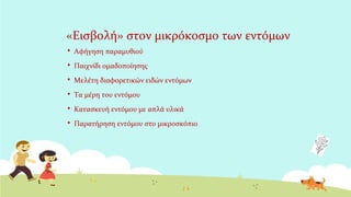 3ο εργαστήρι - Έντομα | PPT