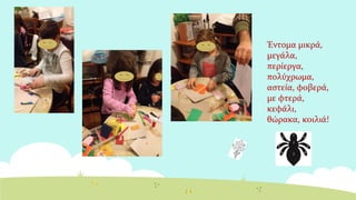 3ο εργαστήρι - Έντομα | PPT