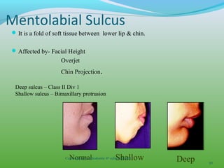 Orthodontic Diagnosis | PPT