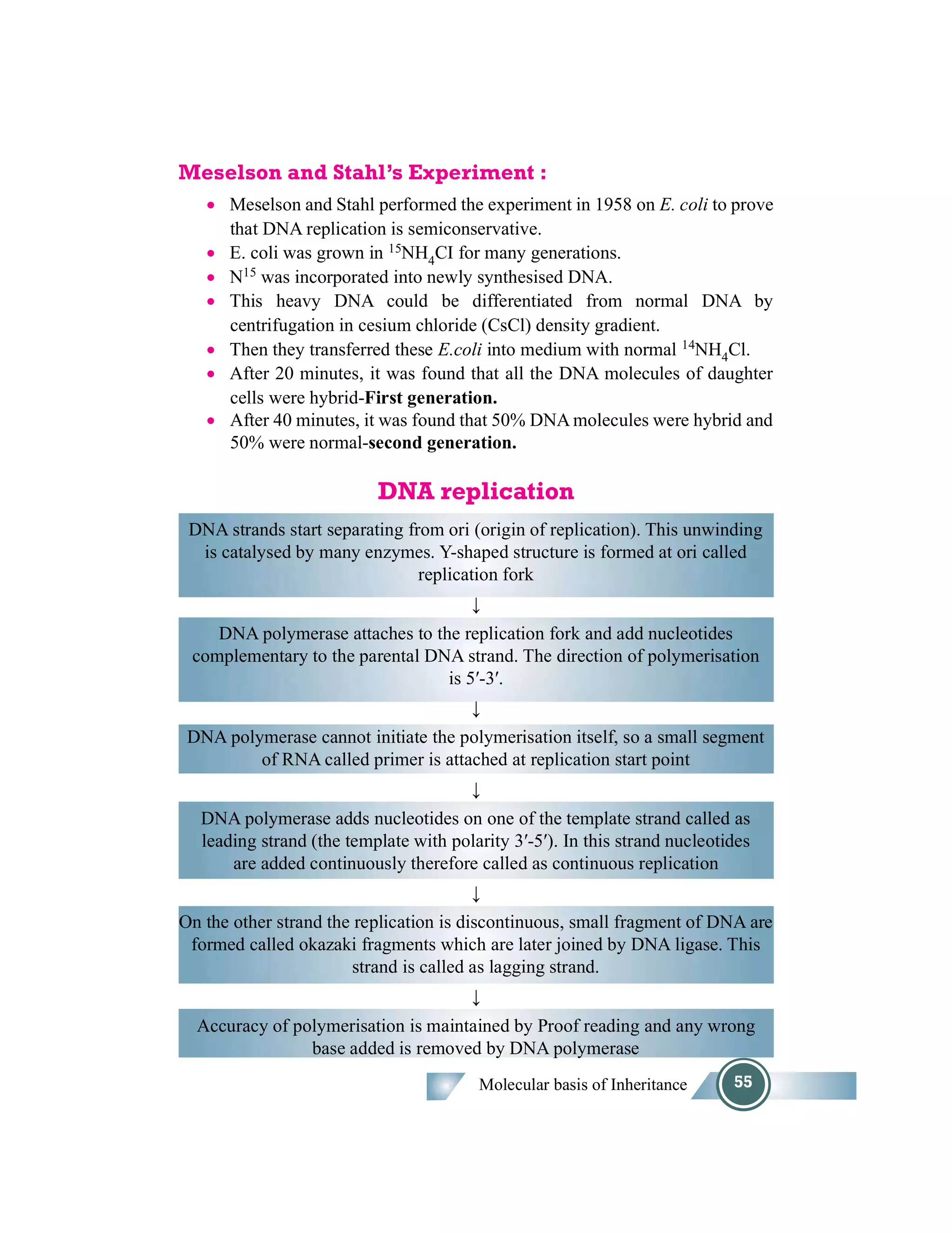 Genetics : Molecular basis of Inheritance | PDF