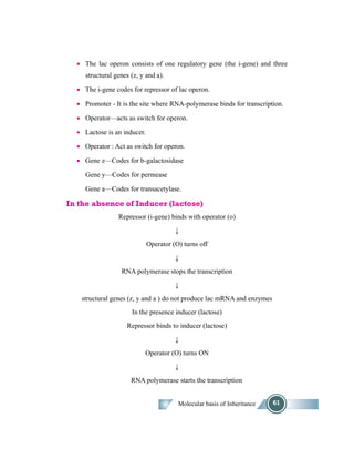 Genetics : Molecular basis of Inheritance | PDF