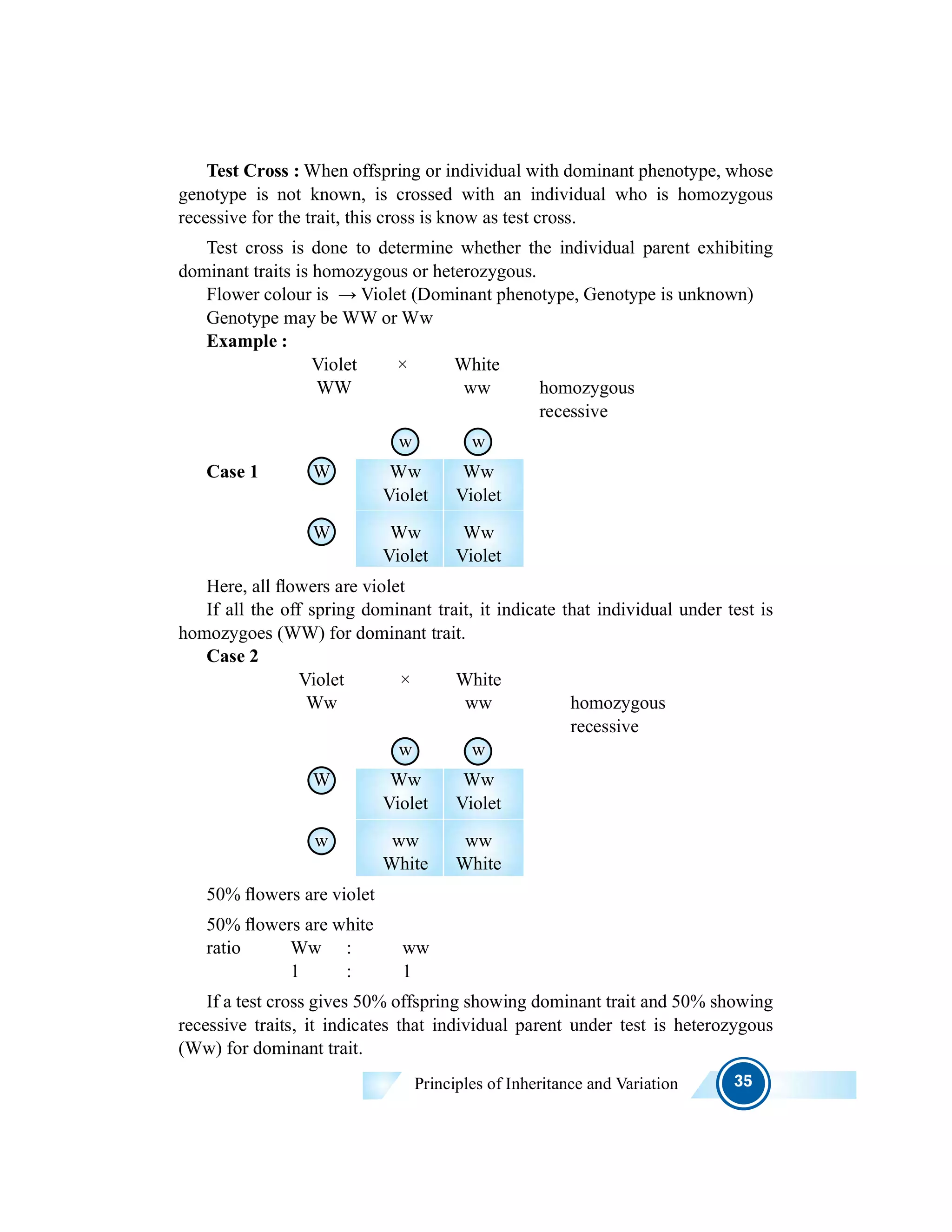 Genetics : Principles of Inheritance and Variation | PDF | Genetics ...