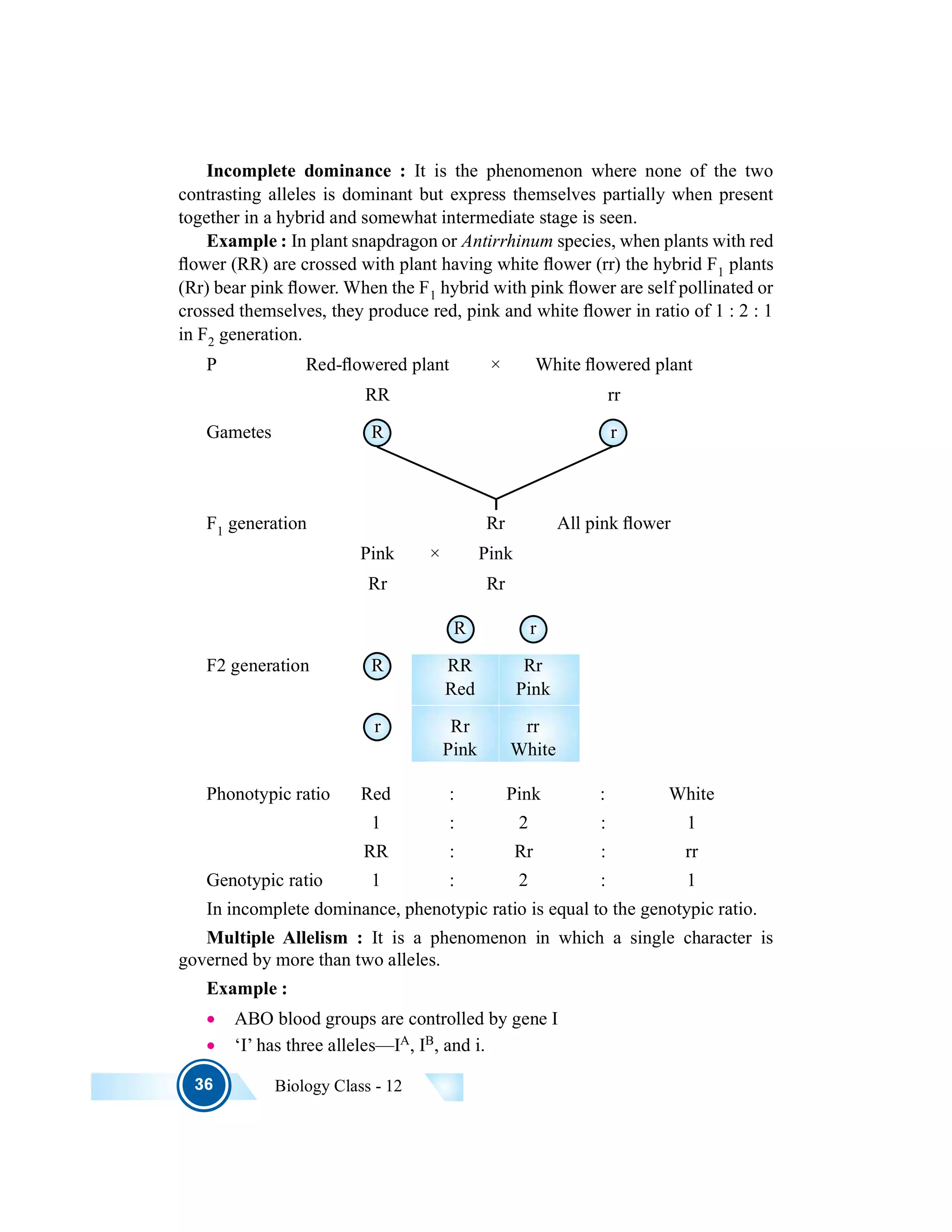 Genetics : Principles of Inheritance and Variation | PDF | Genetics ...