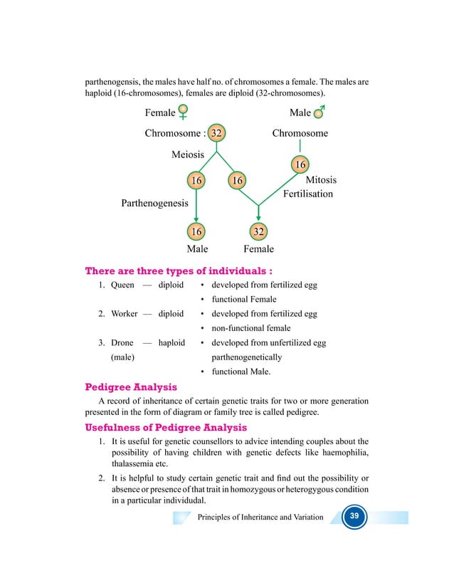 Genetics : Principles of Inheritance and Variation | PDF | Genetics ...