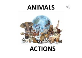 Animals actions | PDF
