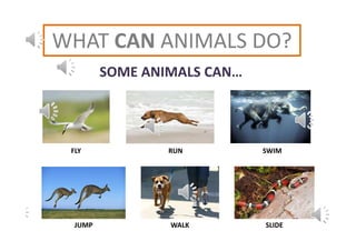 Animals actions | PDF