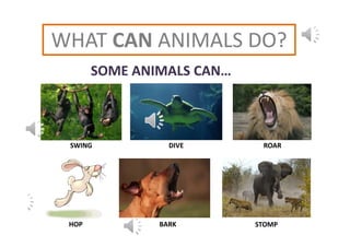 Animals actions | PDF