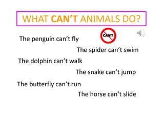Animals actions | PDF
