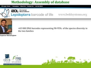 Global patterns of insect diiversity, distribution and evolutionary ...