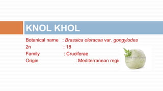 COMMERCIAL VARIETIES AND HYBRIDS IN KNOL KHOL | PPTX