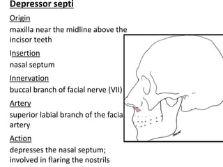 Muscles of facial expression | PPTX