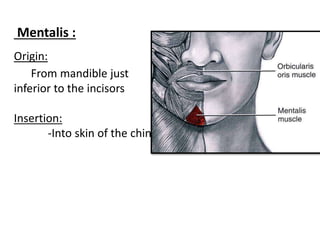 Muscles of facial expression | PPTX
