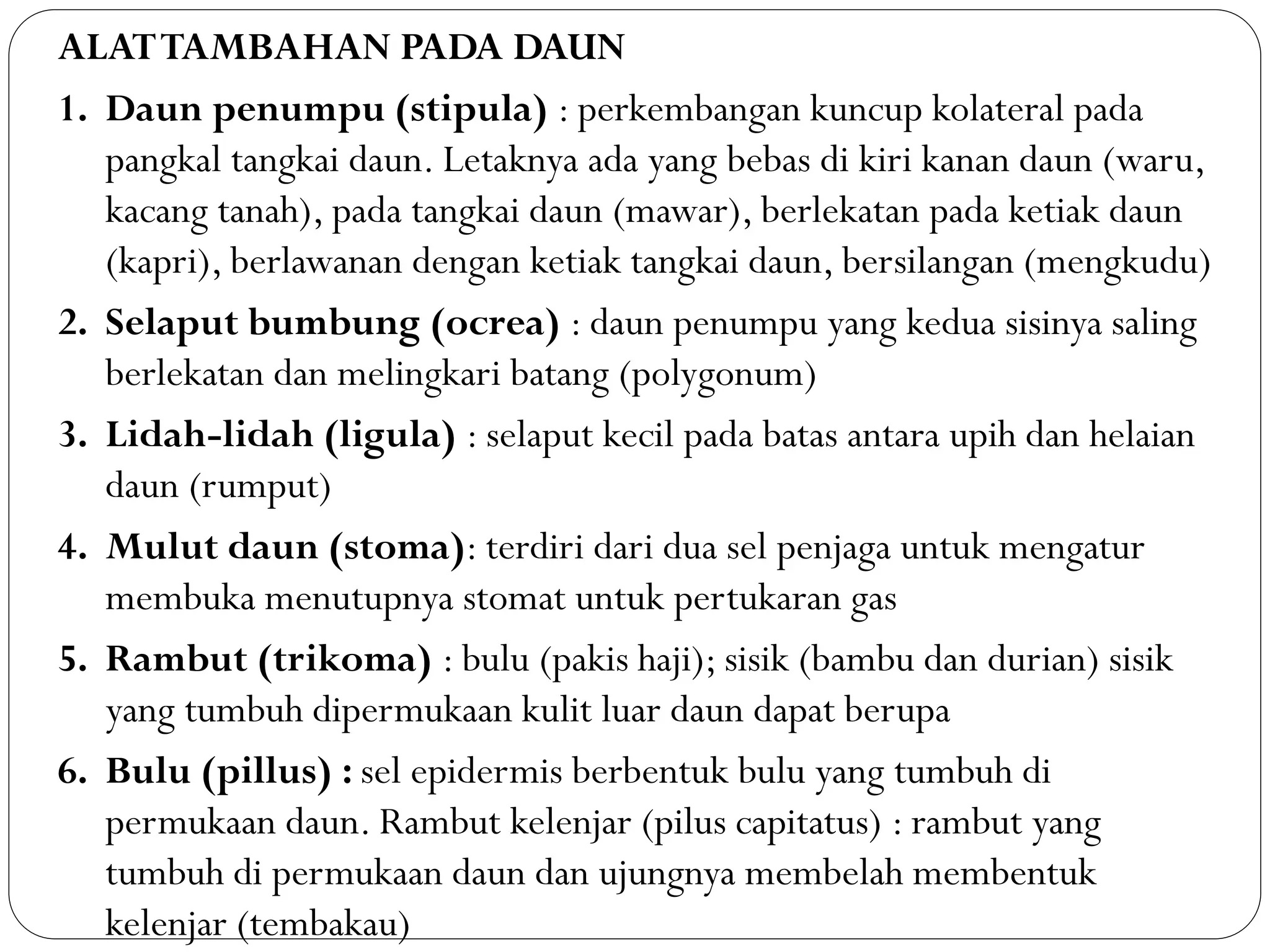 3. Morfologi Daun | PDF