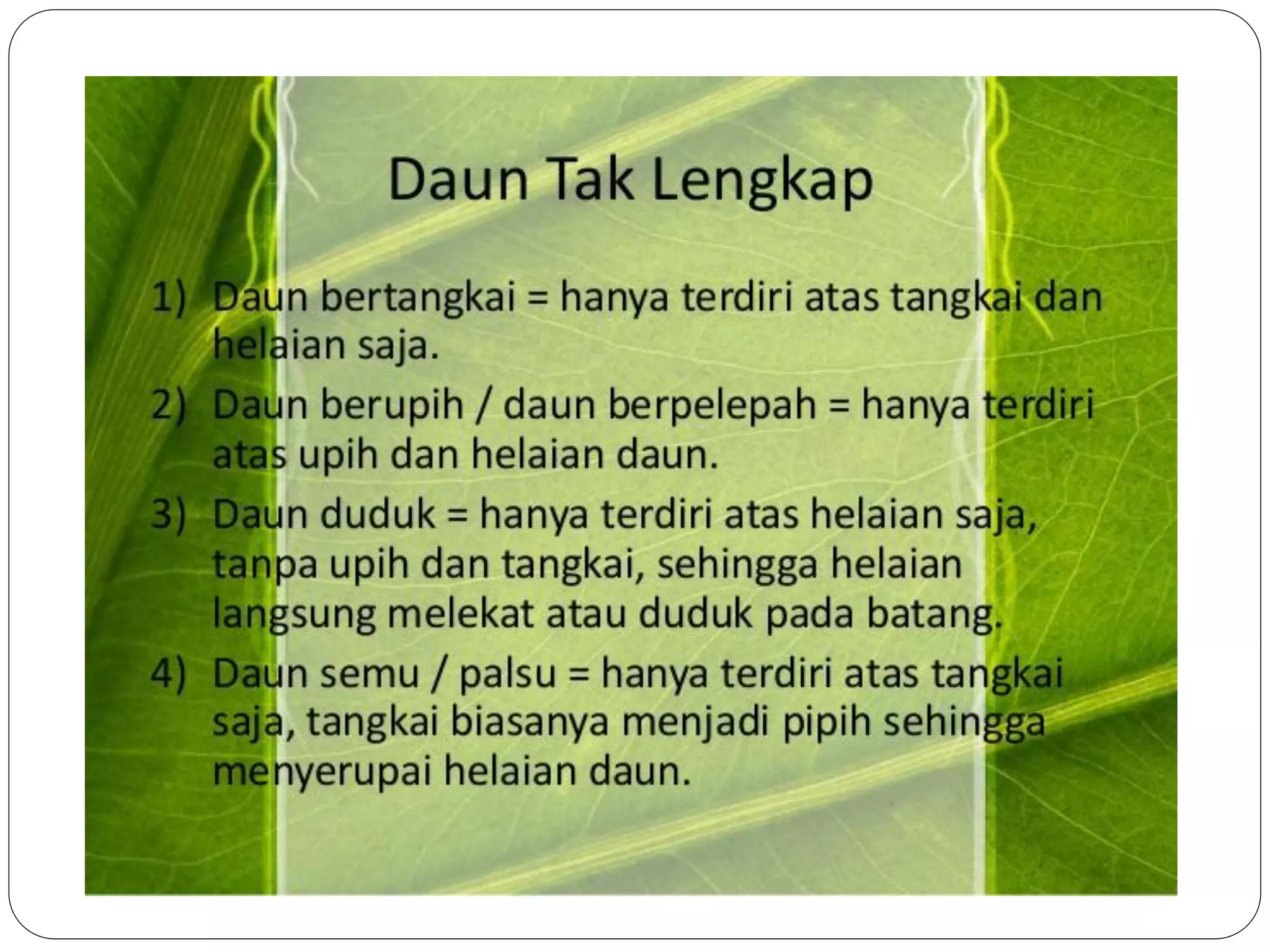 3. Morfologi Daun | PDF