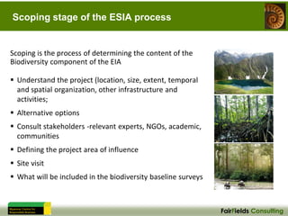 3. What Should a Consultant Be Doing at Different Stages? | PPT