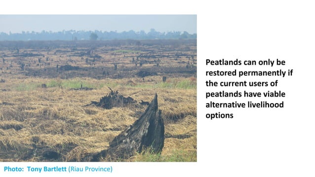 Restoration and management of peatlands – A holistic perspective | PDF | Science