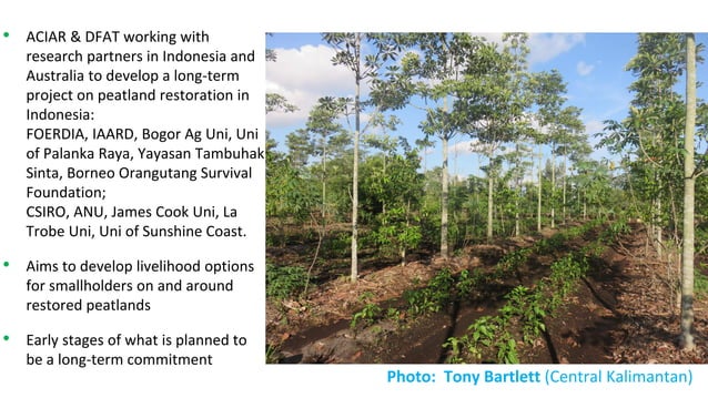 Restoration and management of peatlands – A holistic perspective | PDF | Science