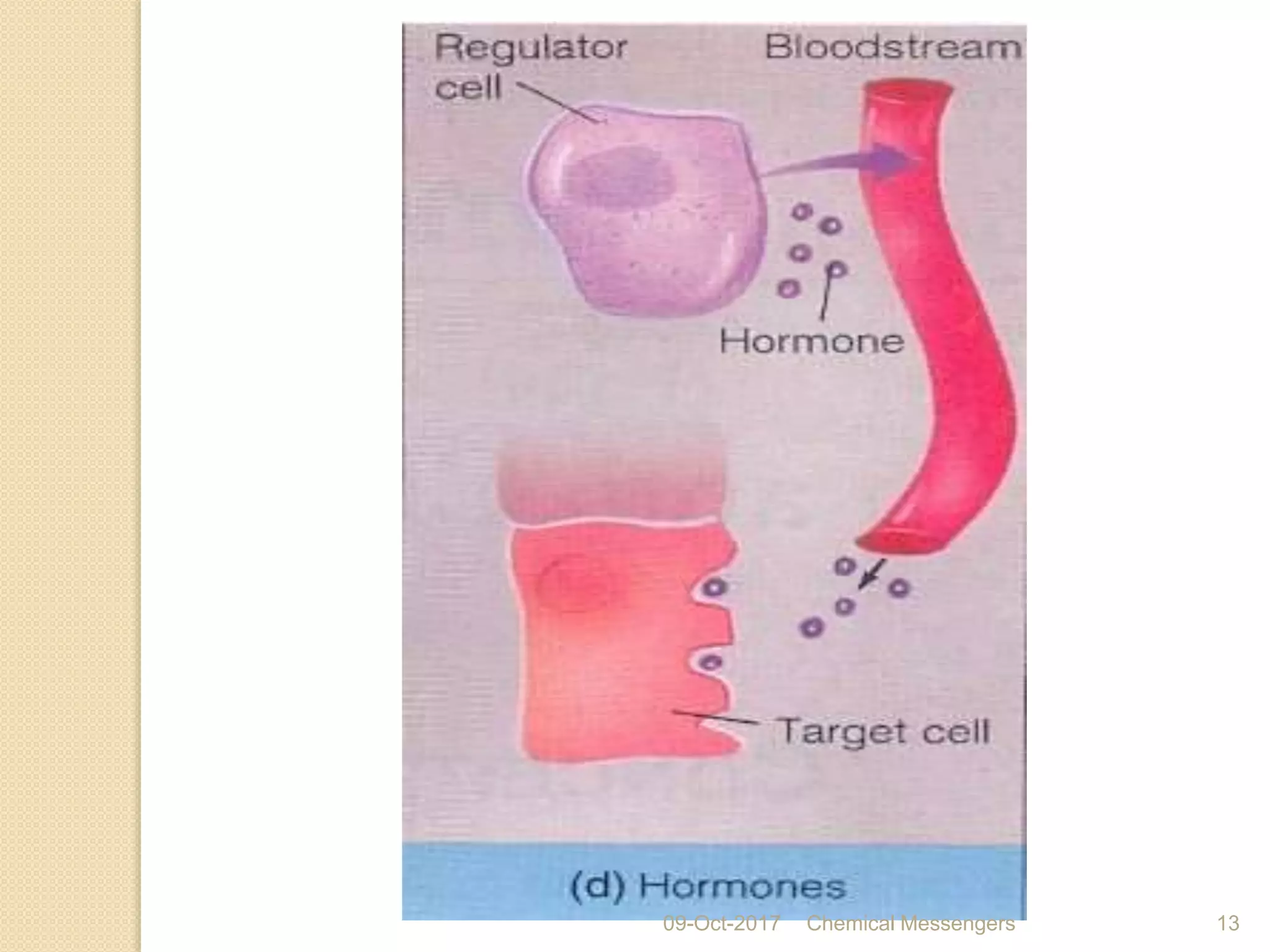 Chemical messengers, Biochemistry of Hormones & their Feedback ...