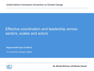 3.1a effective coordination and leadership | PDF