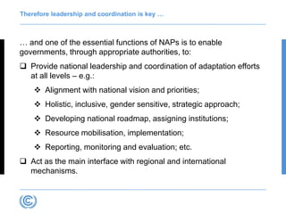 3.1a effective coordination and leadership | PDF