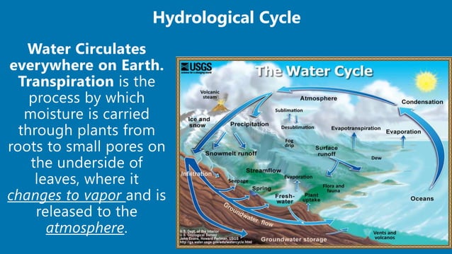 Earth's Subsystems Hydrosphere | PPTX