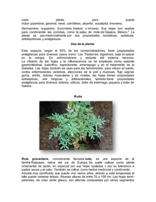 3.1. proyecto huerta escolar completo | DOCX