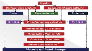 Pathology of Peptic Ulcer Disease | PPT