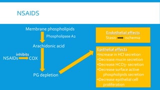 Pathology of Peptic Ulcer Disease | PPT