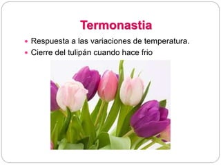 3. la funcion de relacion (grado sexto) | PPTX | Biological Sciences ...