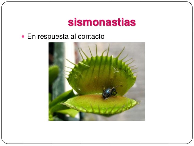 3. la funcion de relacion (grado sexto)
