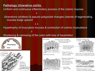 3.intestine | PPT