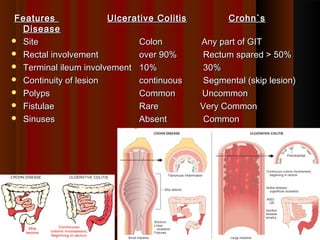 3.intestine | PPT