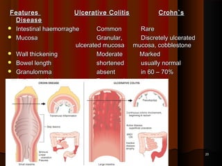3.intestine | PPT