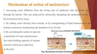 Moisturizers and Humactants | PPTX