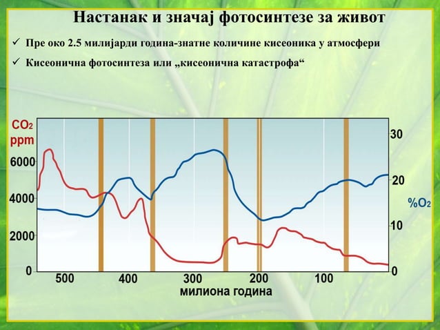 3. Nastanak i znacaj fotosinteze | PPT