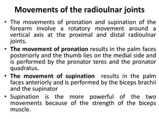 Elbow joint and radioulnar joints by mohammed | PDF