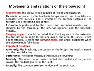 Elbow joint and radioulnar joints by mohammed | PDF