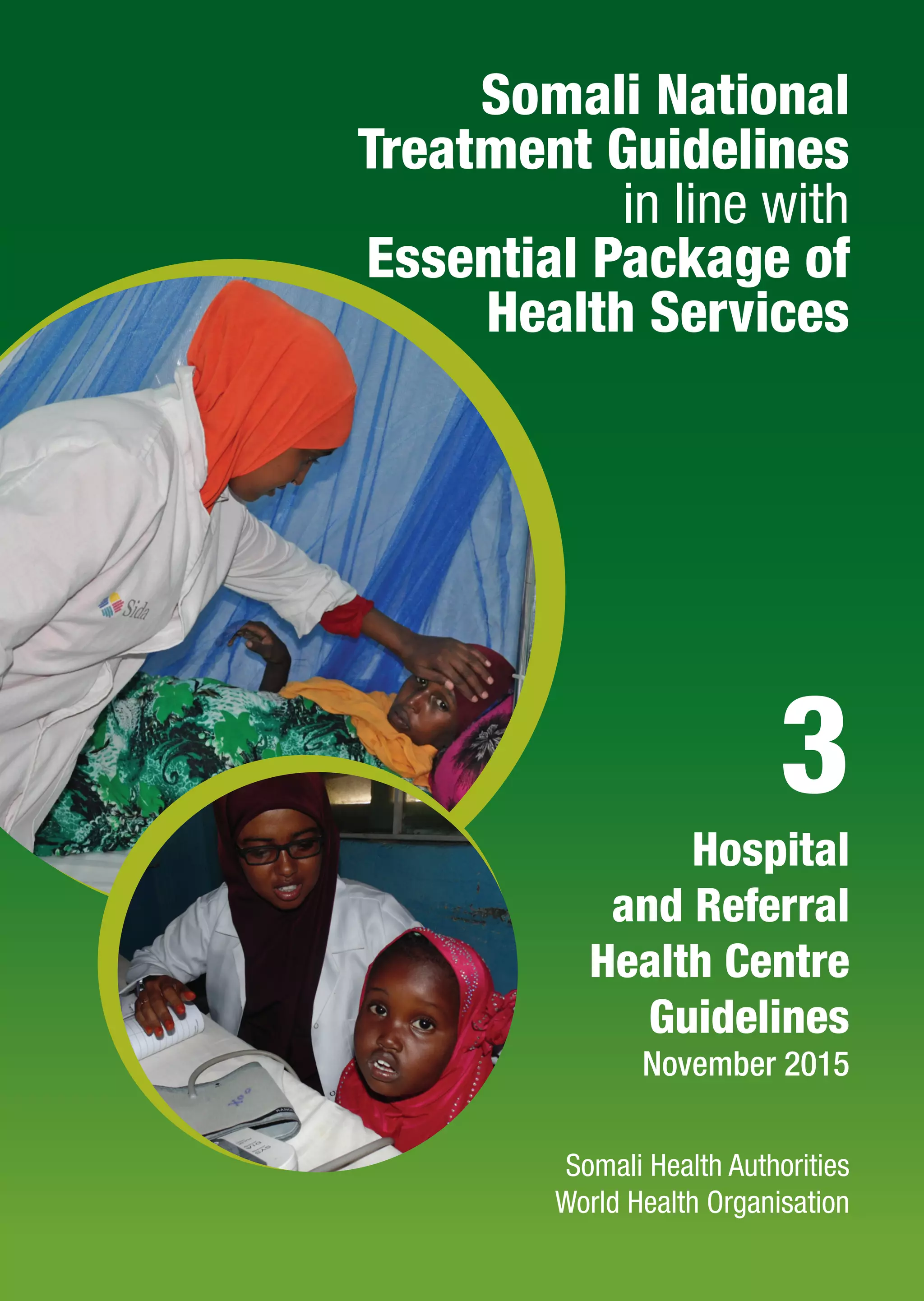 3.Hospital and Referral Health Centre Guidelines | PDF | Pregnancy ...