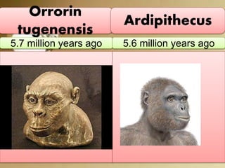 Biological and Cultural Evo | PPT