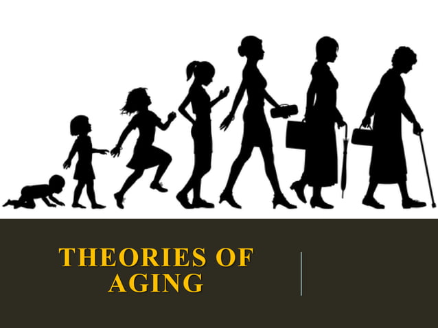 3. theories of aging