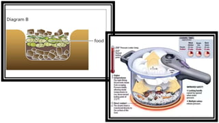 Indigenous Science | PPTX